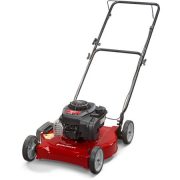 Murray 20 Inch 125cc Gas Powered Side Discharged Push Lawn Mower In ...